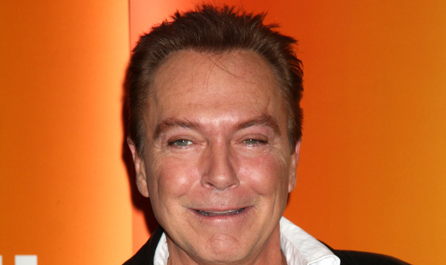 David Cassidy Dead – ‘Partridge Family’ Actor Dies at 67 | David ...