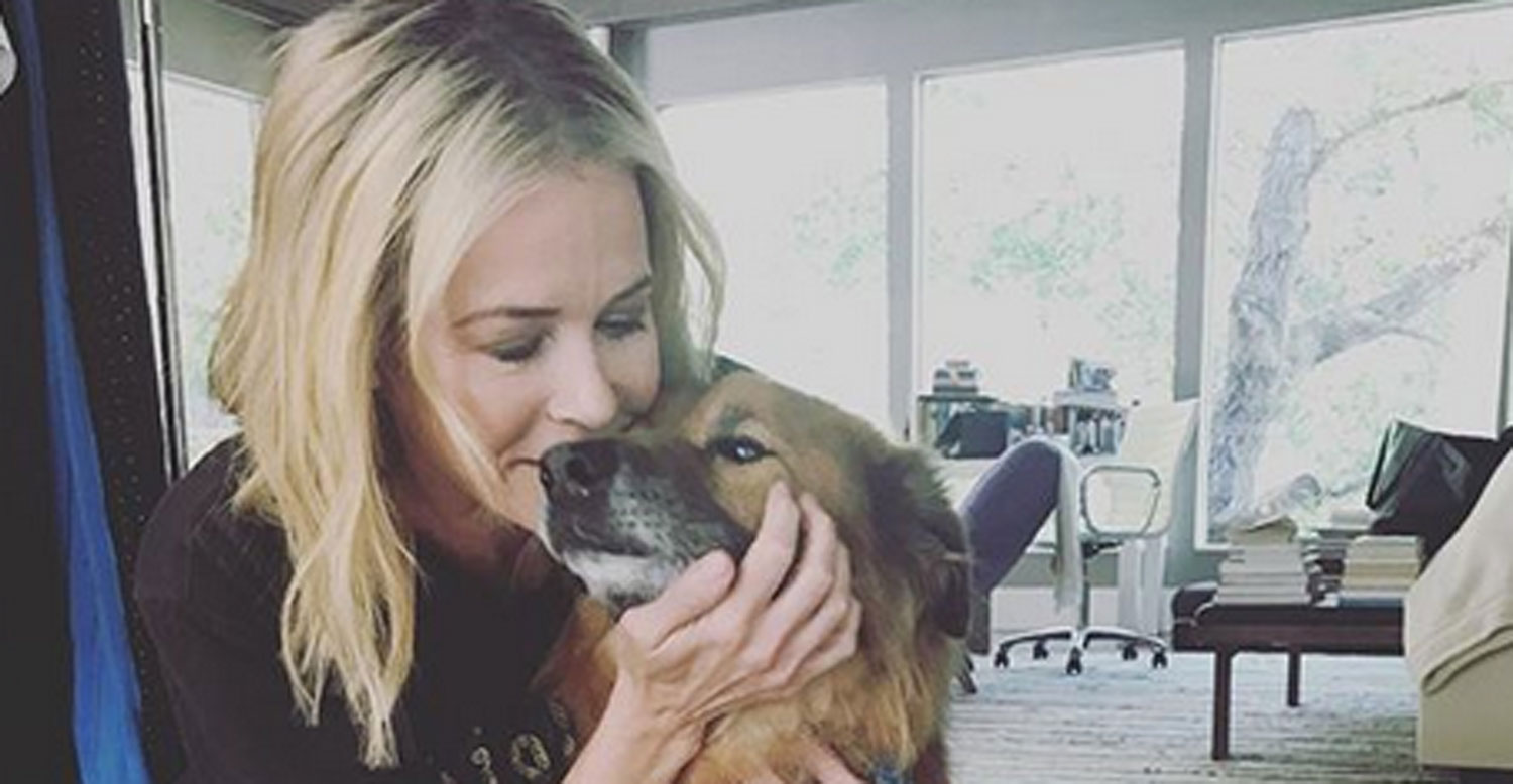 Chelsea Handler’s Beloved Dog Chunk Dies – See Her Heartfelt Post ...