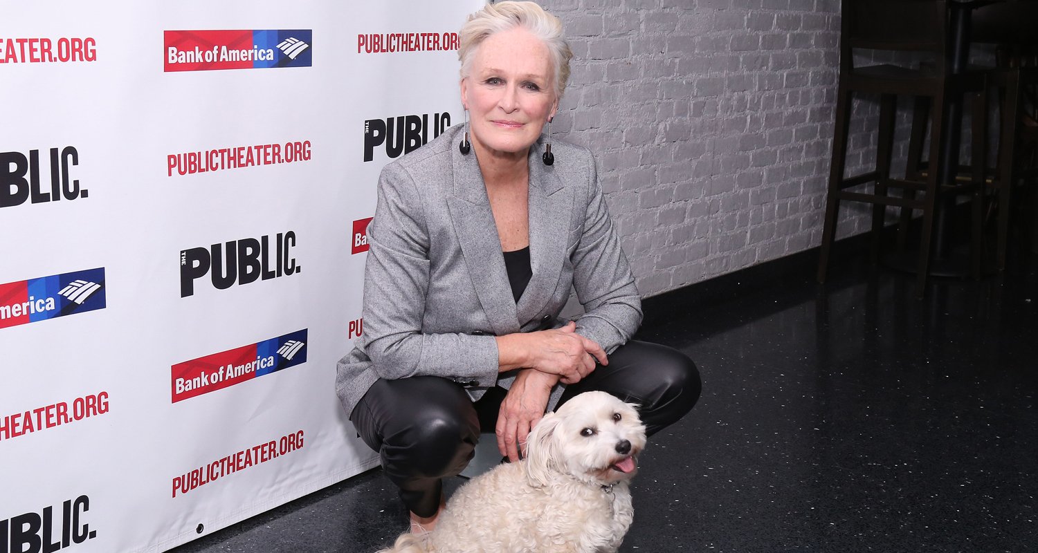 Glenn Close Celebrates ‘Mother of the Maid’ Opening with Her Pup Pip ...