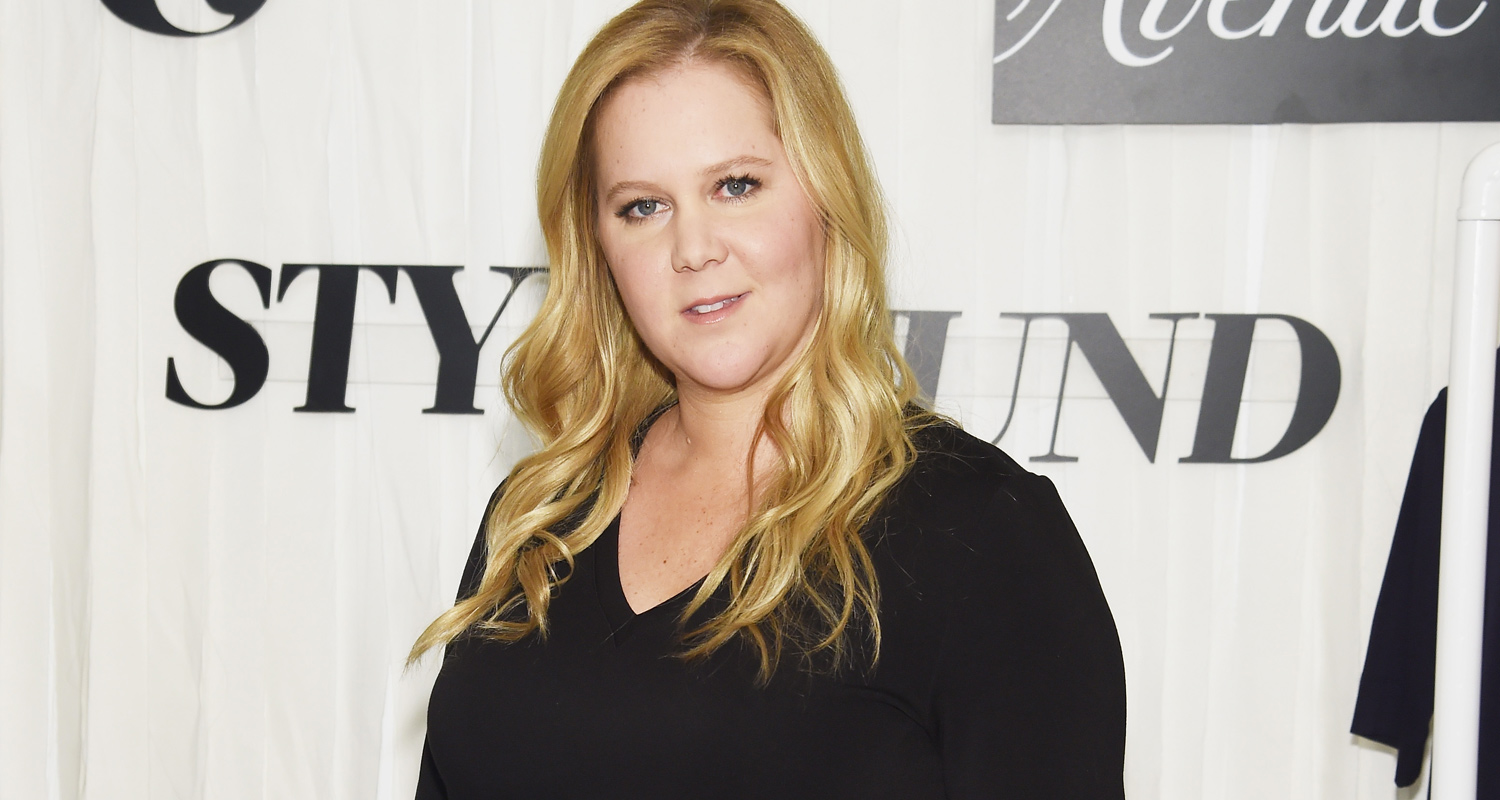 Amy Schumer Cancels Remaining Tour Dates Amid Pregnancy Struggles | Amy ...