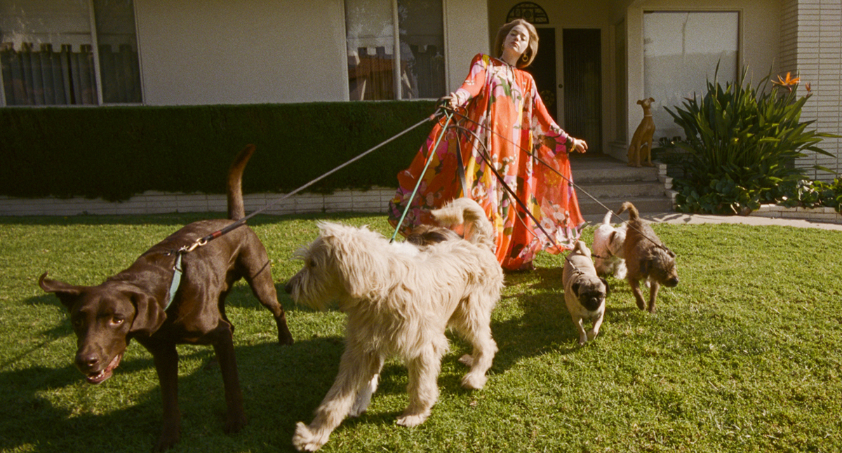 Emma Stone Does a Fun Photo Shoot with Dogs for ‘W’ Magazine | Emma ...