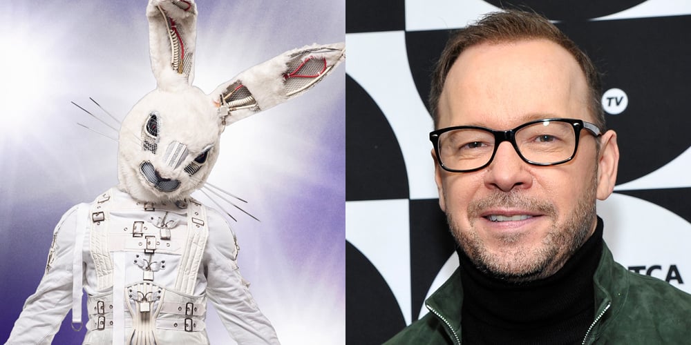 Is Donnie Wahlberg the Rabbit on ‘Masked Singer’? He Was Asked About ...