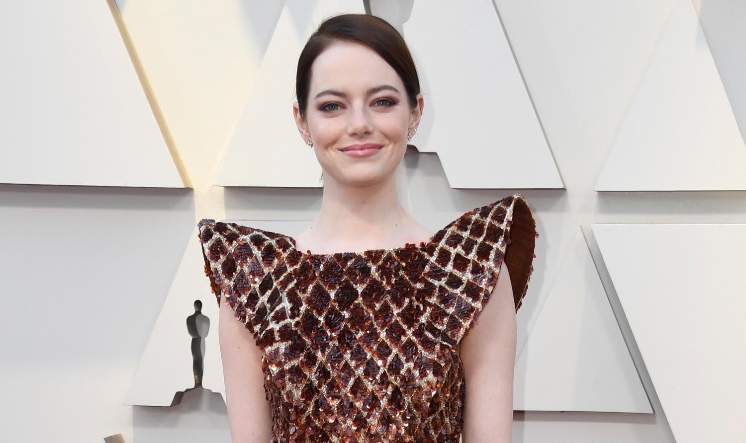 Emma Stone Wears Sequined-Gown to Oscars 2019 | 2019 Oscars, Emma Stone ...