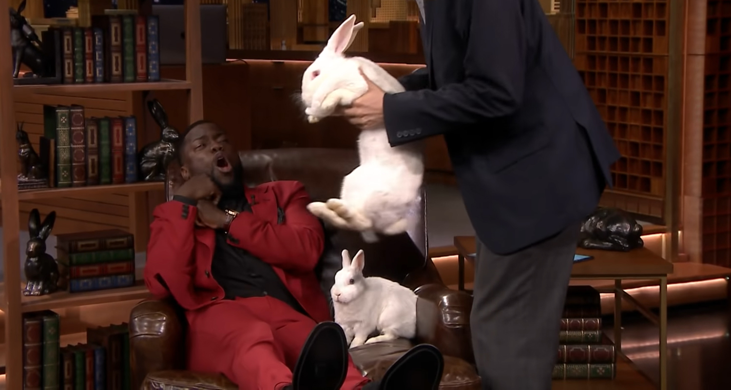 Kevin Hart Hilariously Freaks Out Over Rabbits on ‘Jimmy Fallon’s Hop ...