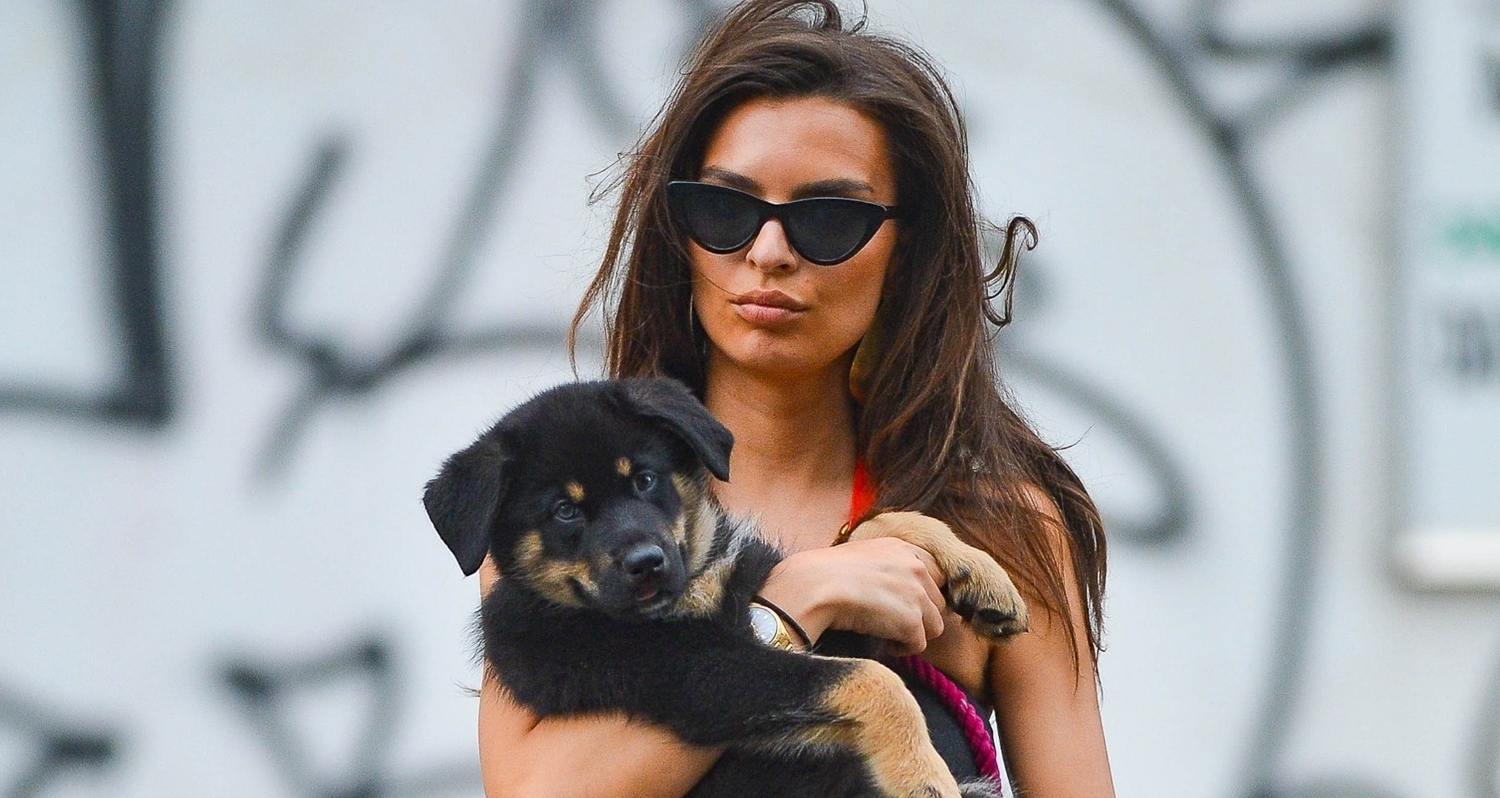 Emily Ratajkowski Steps Out with New Puppy Colombo in NYC! | Emily ...