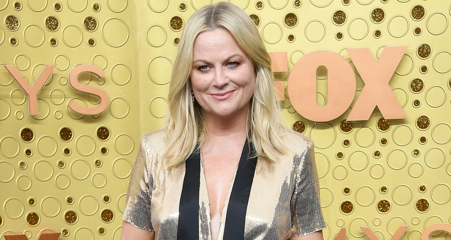 Amy Poehler’s Thriller ‘The Mother-in-Law’ Picked Up By NBC | Amy ...