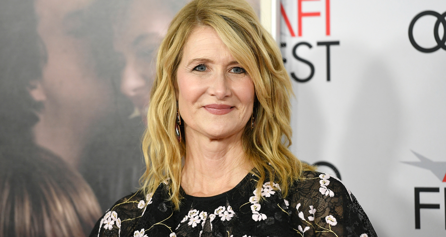 Laura Dern Says Her ‘Marriage Story’ Character Has ‘Delicious’ Monolgue ...