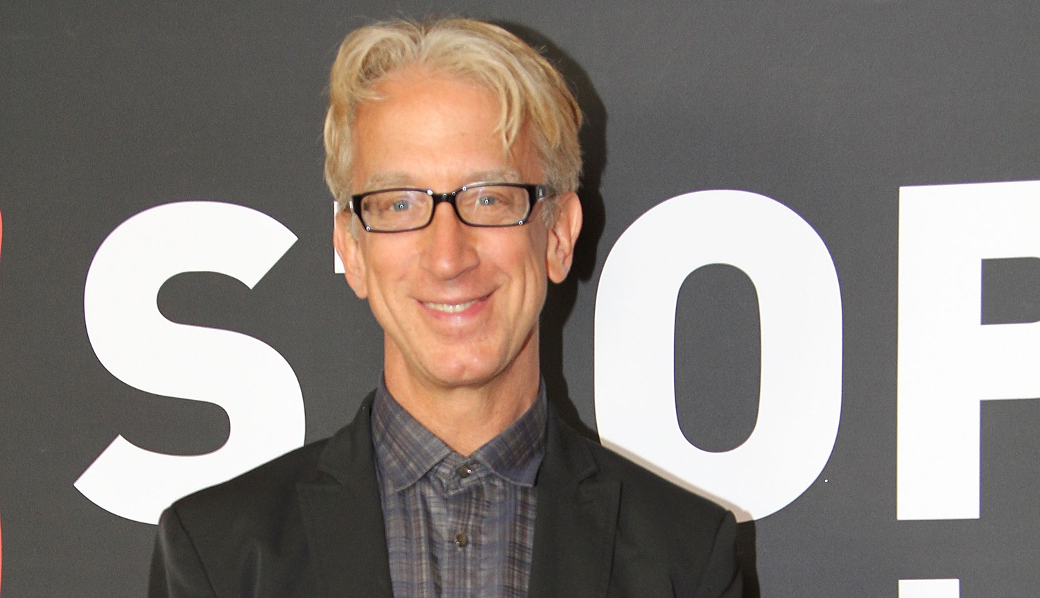 Andy Dick Sentenced to 14 Days in Jail for Sexual Battery Case ...