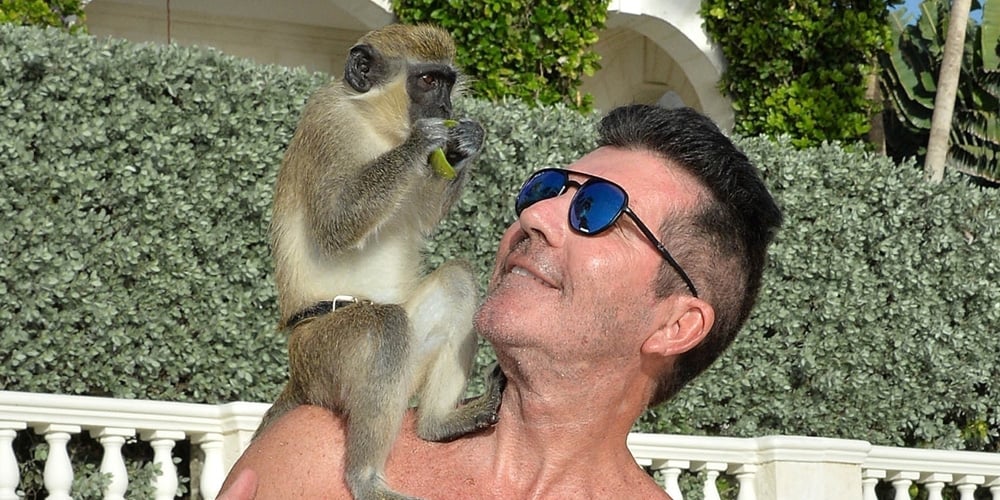 Simon Cowell Meets a Monkey During His Vacation in Barbados | Lauren ...
