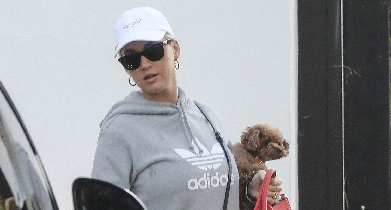 Katy Perry Leaves Her Office With Her Cute Dog in Tow | Celebrity Pets ...