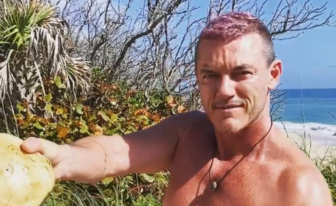 Luke Evans Dyes His Hair Pink While in Quarantine! | Luke Evans ...