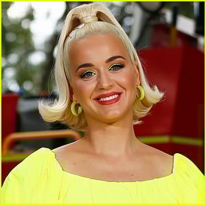 Katy Perry Mourns Death of Her Cat Kitty Purry | Celebrity Pets, Katy ...