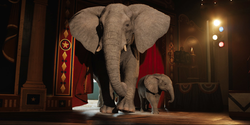 Angelina Jolie & Sam Rockwell Voice Disney’s ‘The One & Only Ivan ...