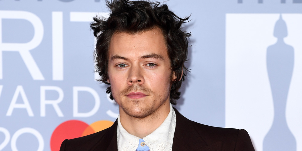 Harry Styles Wrote Notes To A Fan & Fed Her Fish After His Car Broke ...