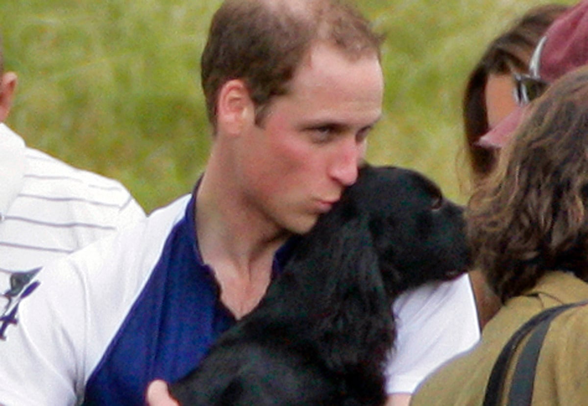 Kate Middleton & Prince William’s Dog Lupo Has Passed Away | Kate ...