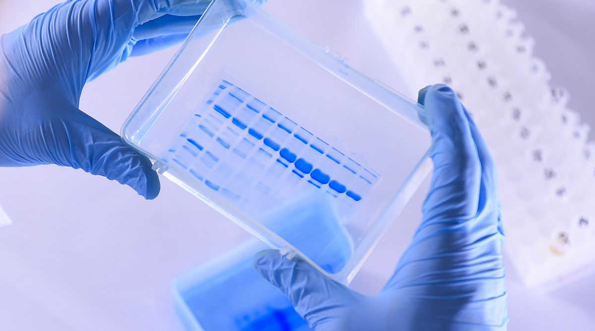 Congressman-Elect Luke Letlow Dies From Coronavirus at 41 | Coronavirus ...