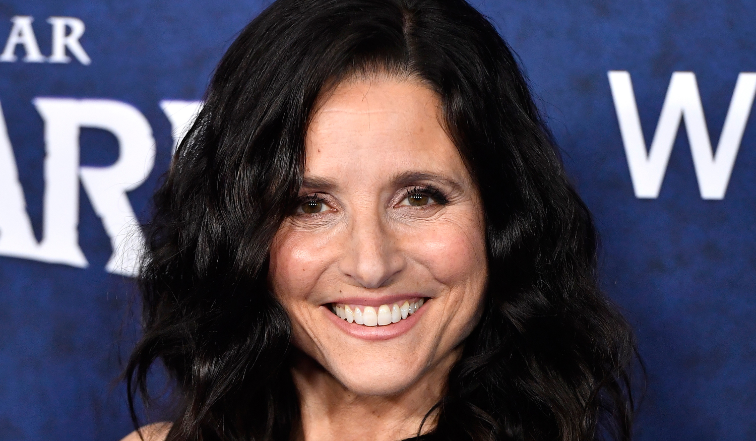 Who Does Julia Louis-Dreyfus Play in ‘Falcon & The Winter Soldier ...