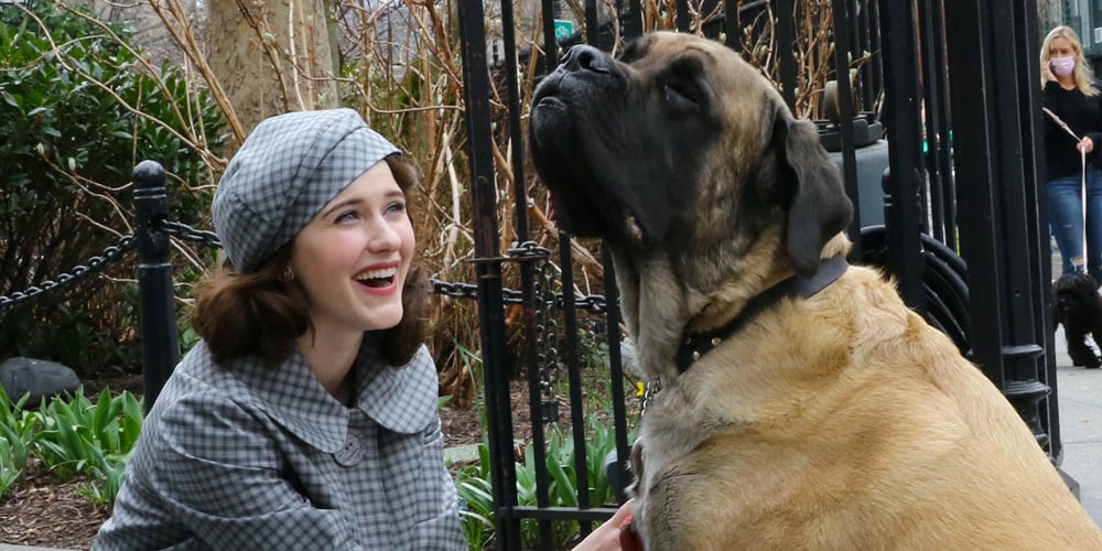 Rachel Brosnahan Is Full of Puppy Love On ‘Marvelous Mrs. Maisel’ Set ...