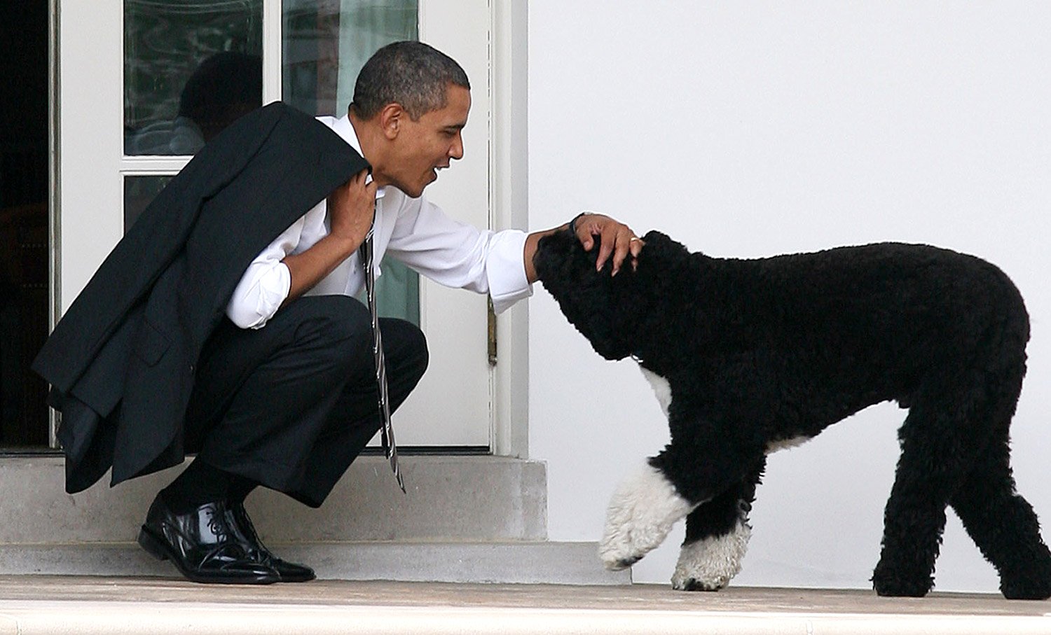 Barack & Michelle Obama Mourn the Death of Their Dog Bo – Read Their ...