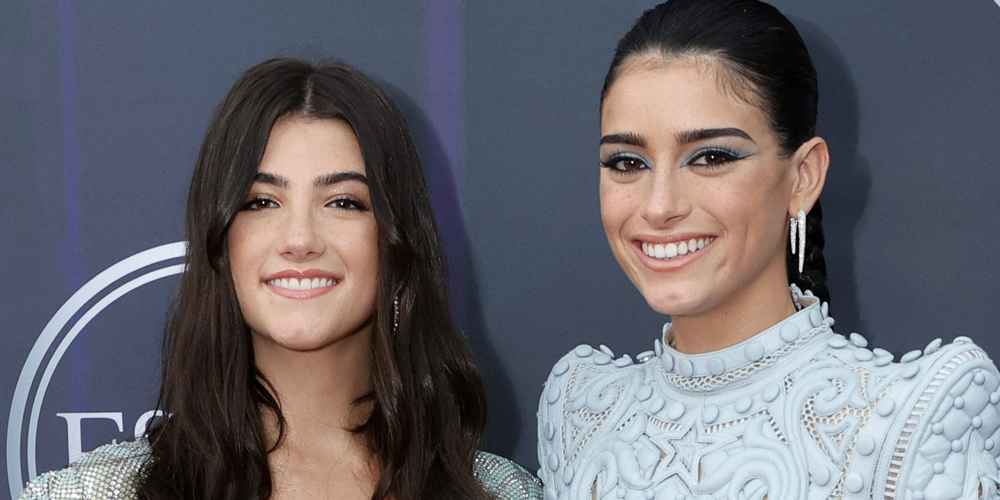 Get a First Look at Hulu’s ‘The D’Amelio Show’! | Charli D'Amelio ...