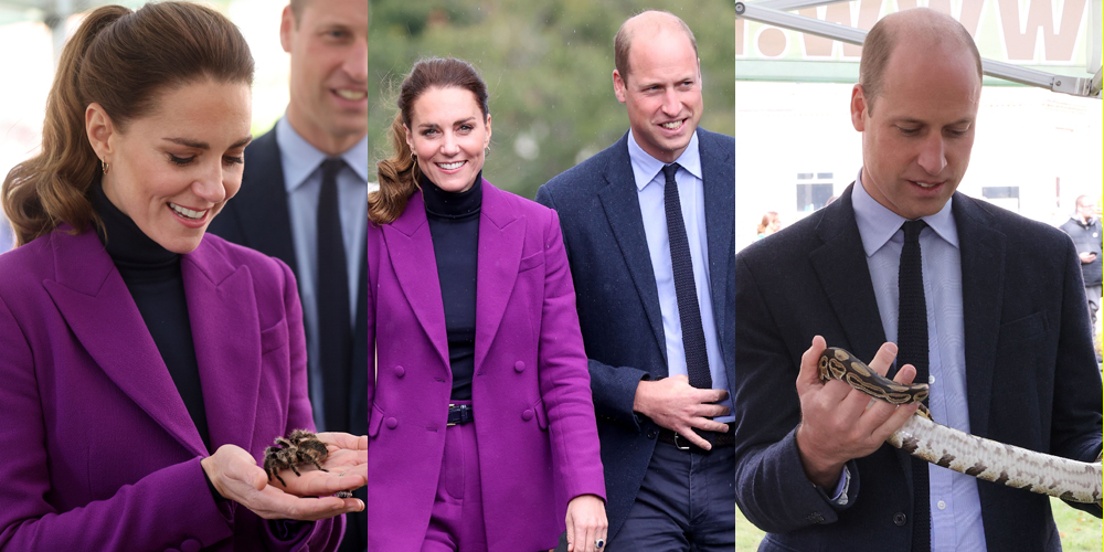 Duchess Kate Middleton Handles a Tarantula & Doesn’t Seem Phased At All ...