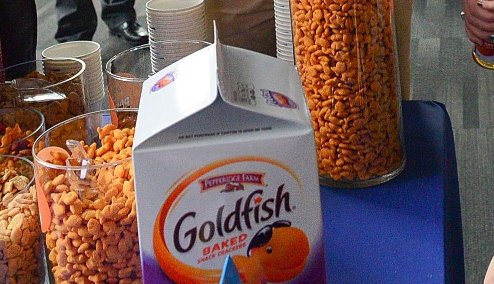 The Goldfish Jingle Commercial Playing During the Grammys Has Fans So ...