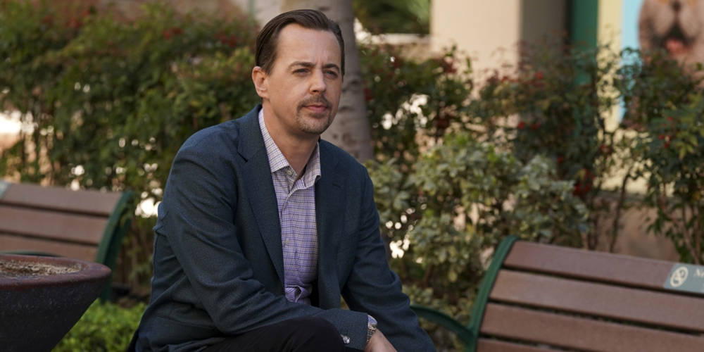 A Very Special Guest Star Will Appear on ‘NCIS’ Tonight! | Cay Ryan ...