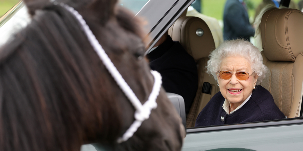 Buckingham Palace Reveals What Will Happen to Queen Elizabeth’s Pony, Emma | Queen Elizabeth ...
