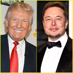 Elon Musk Issues Decision On Reinstating Donald Trump’s Twitter Account ...
