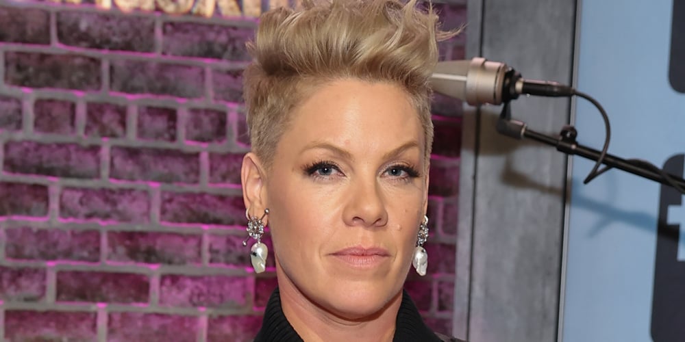 Pink Reveals the Pop Star Who Doesn’t Like Her & the Celeb She Felt ...