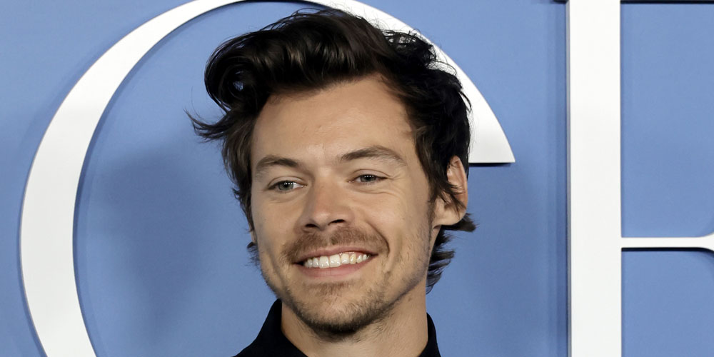 ‘The Little Mermaid’ Director Reveals Why Harry Styles Turned Down ...