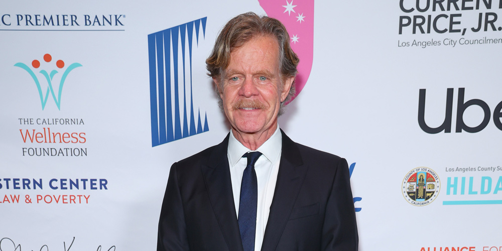 William H. Macy Sued for Allegedly Cutting Down Neighbor’s Healthy Pine ...