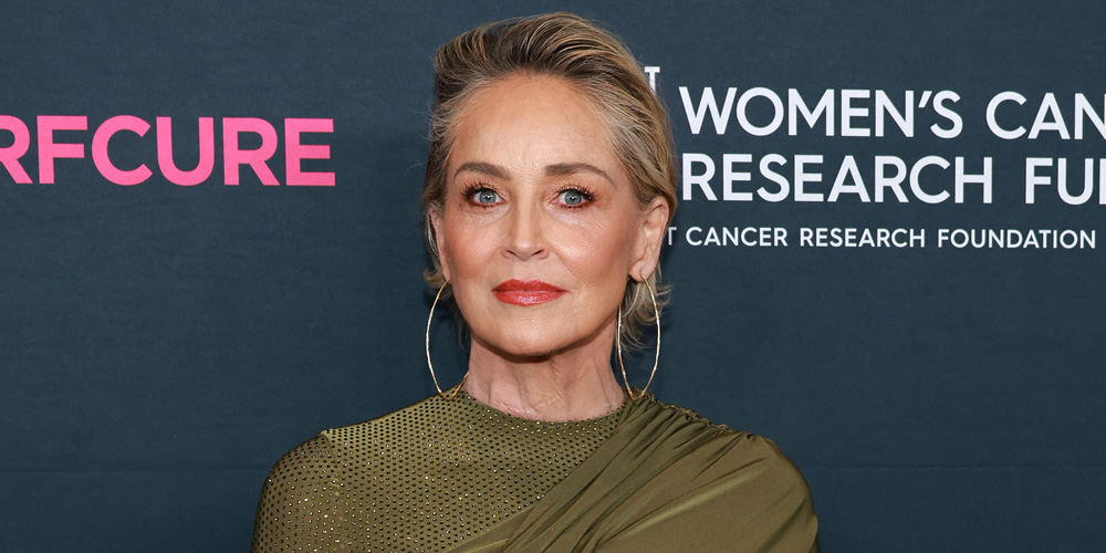 Sharon Stone Feels Forgotten By Hollywood After Her Stroke: ‘I Haven’t ...