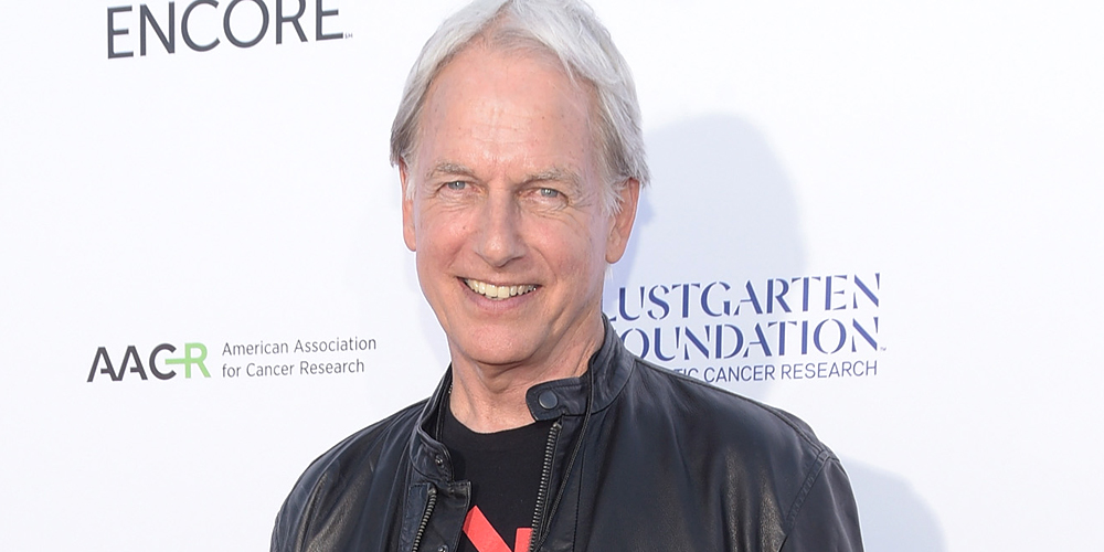 Mark Harmon Writes Book Based On How Real NCIS Agency Came To Be; Will ...