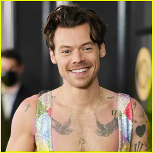 Harry Styles Was In the Running for 7 Roles That Went to Other Stars ...