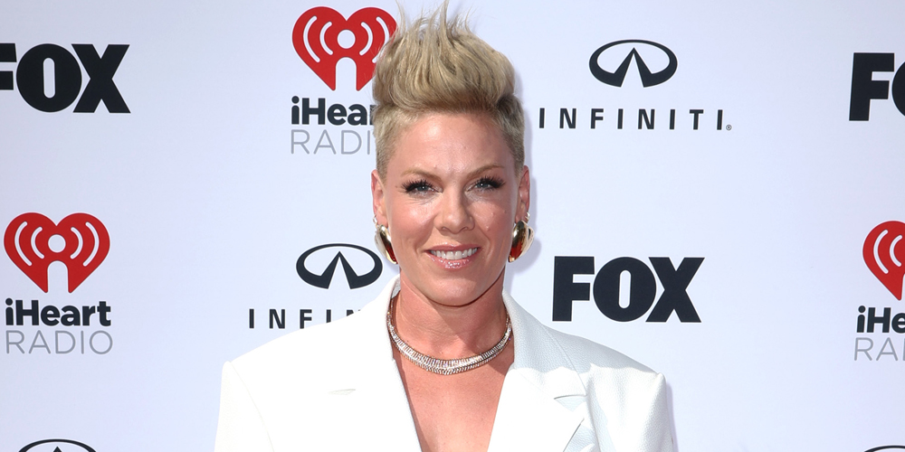 Pink Obliterates Internet Troll Who Says She ‘Got Old’ With Thoughtful ...