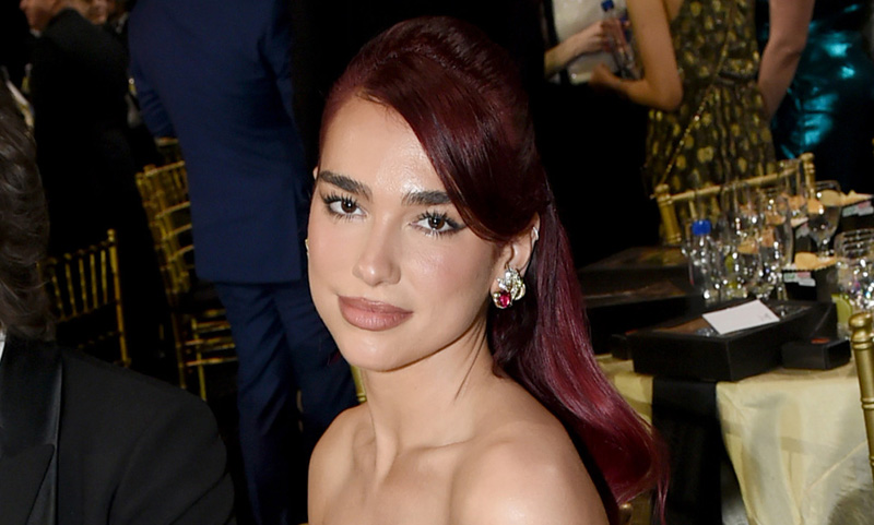 Dua Lipa Announces Song ‘Training Season,’ Explains Meaning of the ...