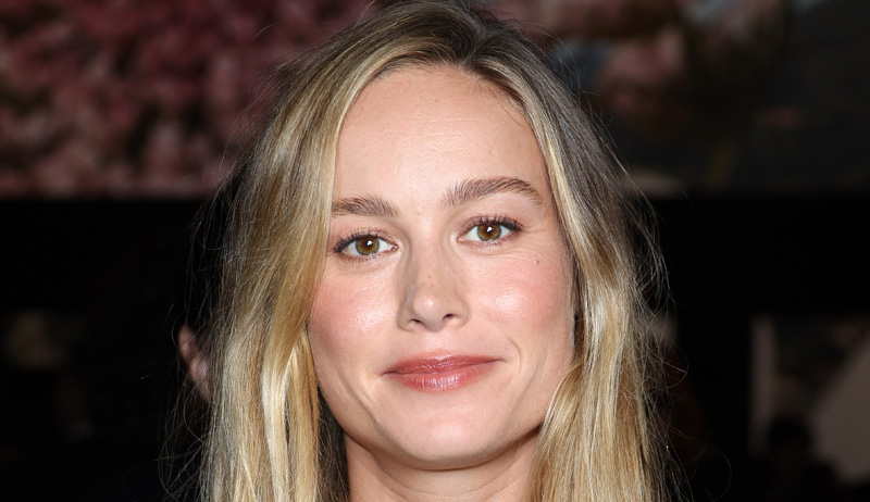Brie Larson Sparks Dating Rumors with Artist Benjamin Styer | Benjamin ...
