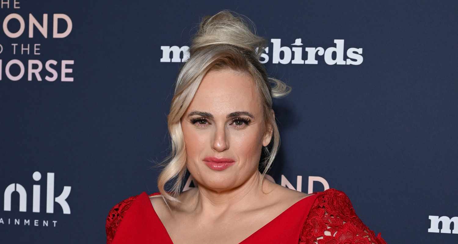 Rebel Wilson Being Sued By Producers of Her Directorial Debut After She ...