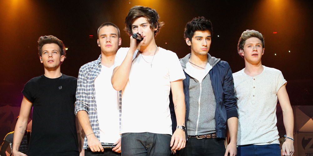 Will One Direction Ever Reunite? See What Each Bandmate Had to Say ...