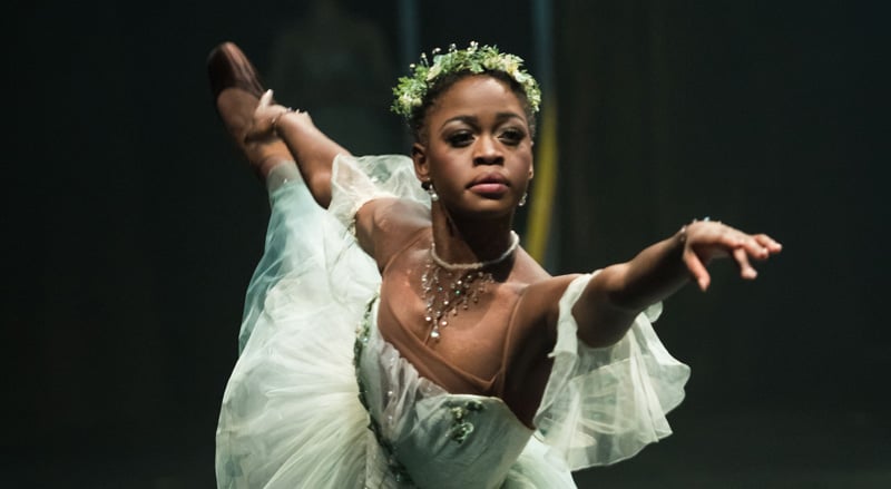 Ballet Dancer Michaela DePrince Dead at 29, Family Confirms in ...