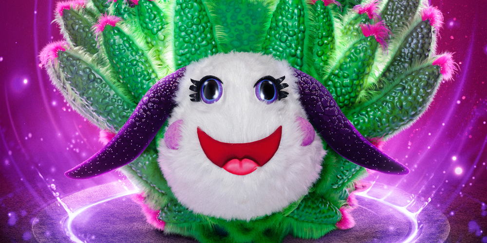 Who is Leaf Sheep on ‘The Masked Singer’? Football Legend Unmasked ...