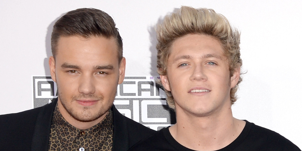Niall Horan Shares Statement on Liam Payne’s Death: ‘I Feel So ...