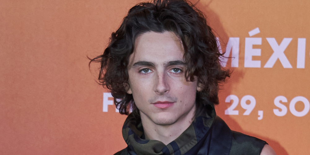 Timothée Chalamet Shows Up for NYC Lookalike Contest Gathering, Police ...