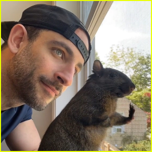 Mark Longo Celebrity News and Gossip | Entertainment, Photos and Videos ...