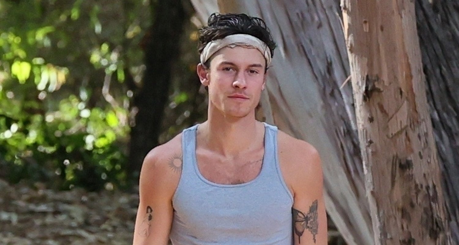 Shawn Mendes Shows Off His Muscles on Solo Hike in Santa Monica | Shawn Mendes | Celebrity News ...