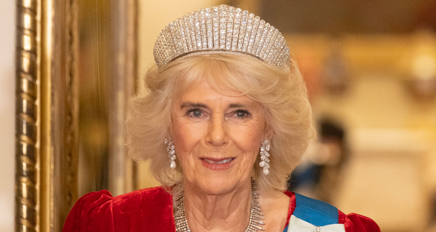 Queen Camilla Talks Extended Absence After Recent Chest Infection ...