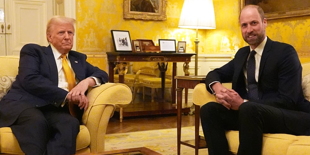 Donald Trump Meets With Prince William in Paris – Details of Their ...