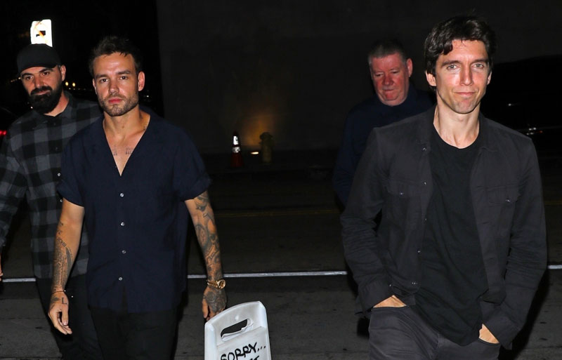 Ashley Benson And Liam Payne