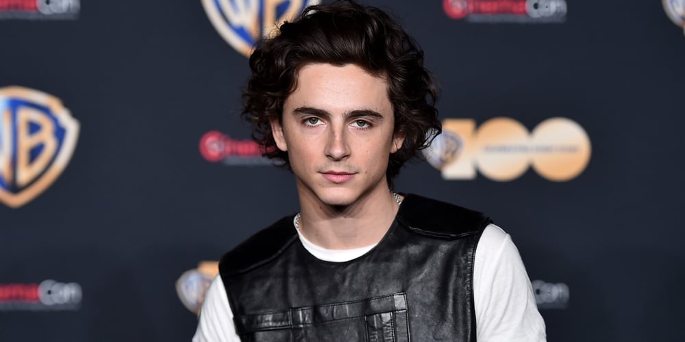 Timothée Chalamet’s Top 10 Best Movies, Ranked | EG, evergreen, Movies, Slideshow, Timothee ...
